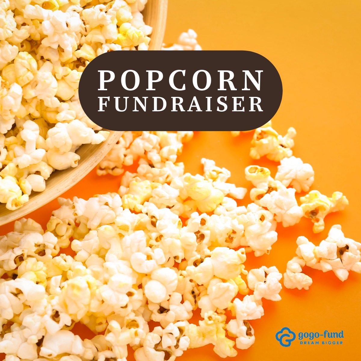 🍿 Is a Popcorn Fundraiser Right for You? - Gogo Fund